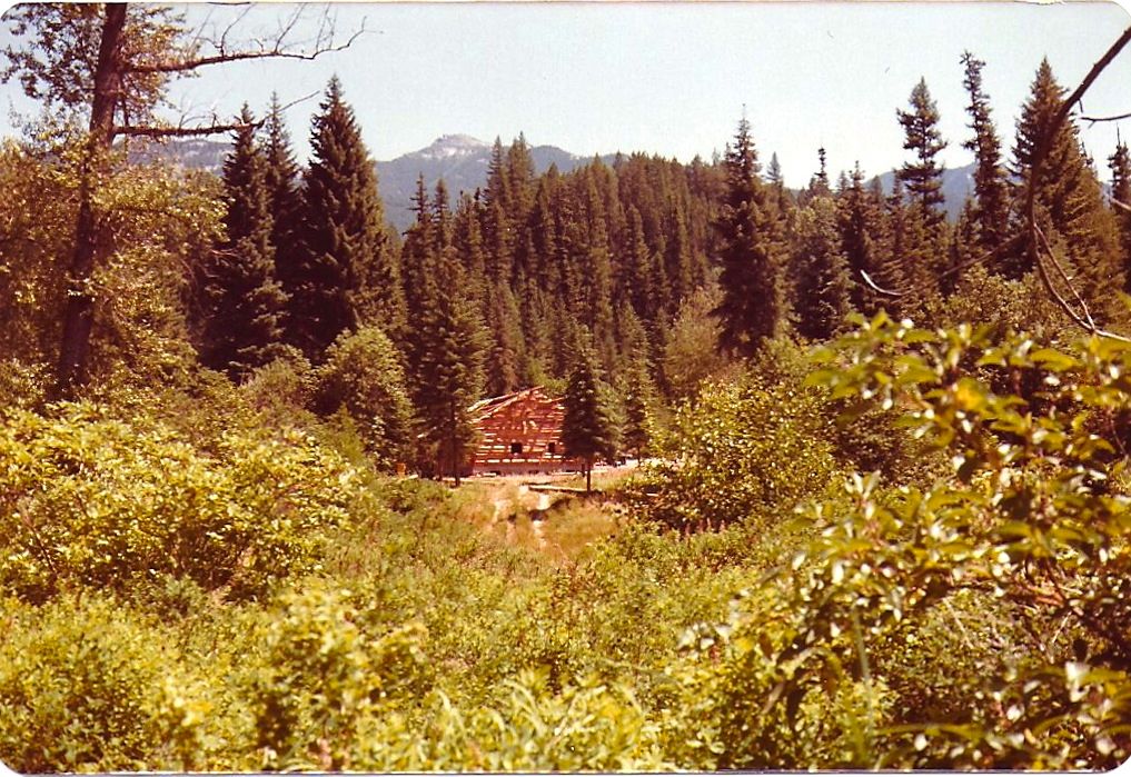 About the Book | Julie Riddle